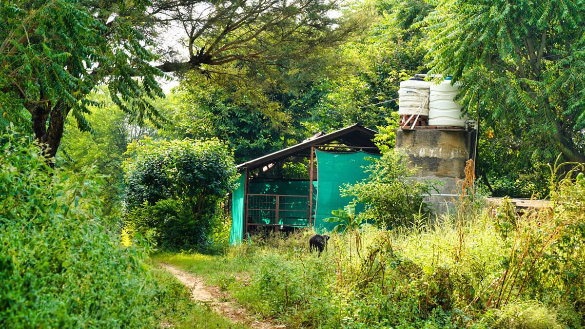 Noble Nest Eco Resort and Hotel Near Khatushyam Ji